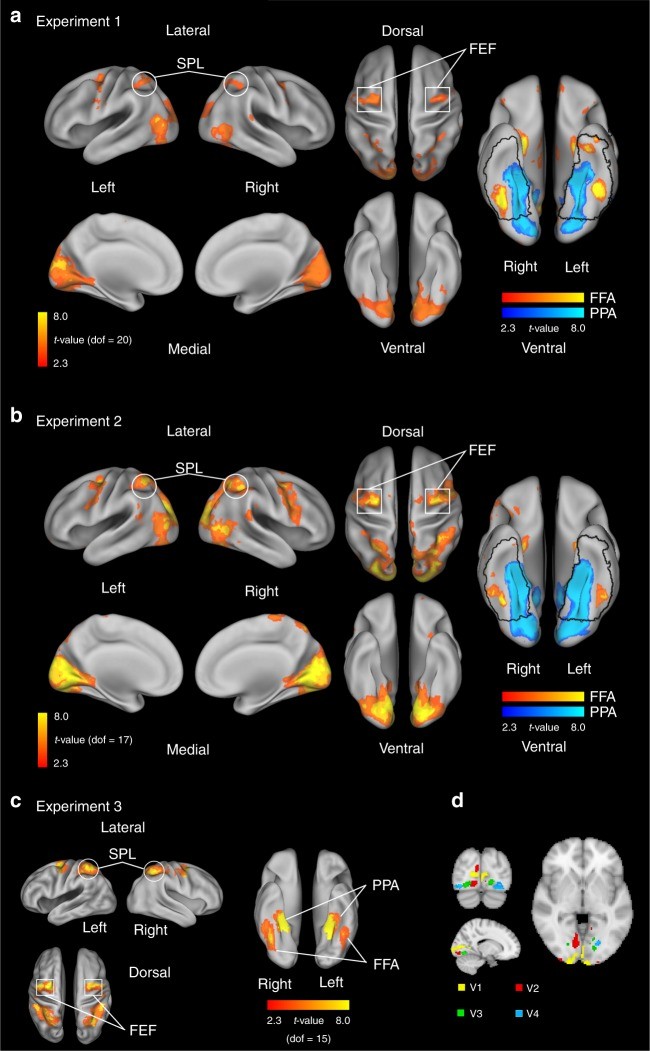 上海交通大学心理与行为科学研究院